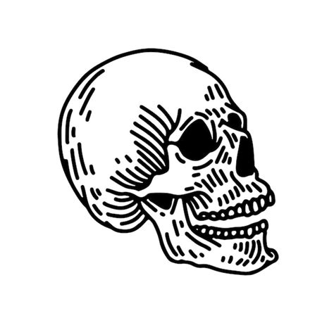 Premium Vector Vector Human Skull With A Lower Jaw In Vintage