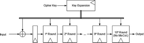 Fpga Architectures For Aes Rolled Versus Unrolled Rounds