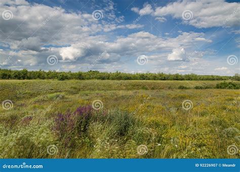 Field And Wood Stock Image Image Of Path Outdoors Travel 92226907