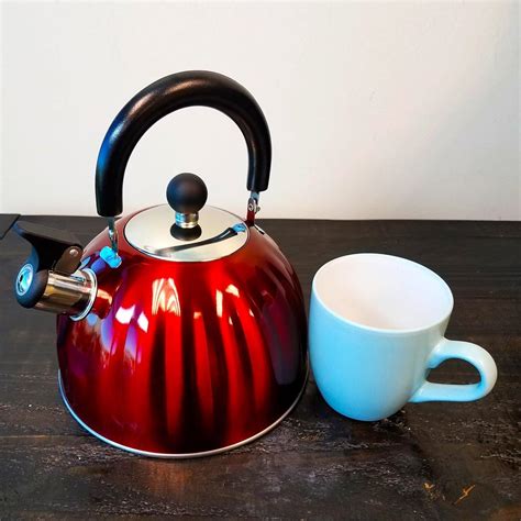 Mr Coffee Twining 2 1 Quart Pumpkin Shaped Stainless Steel Whistling