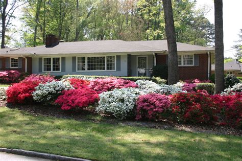 What Is This Walter Reeves The Georgia Gardener