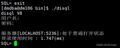 达梦disql工具的使用 达梦 disql csdn博客