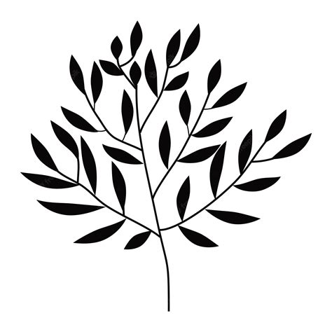Premium Vector 白色背景上有葉子分離的植物裝飾枝的 Siluet