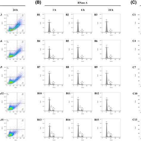 The Flow Cytometry Matrix Results Of Yeast Cells Grown In Dtb Medium