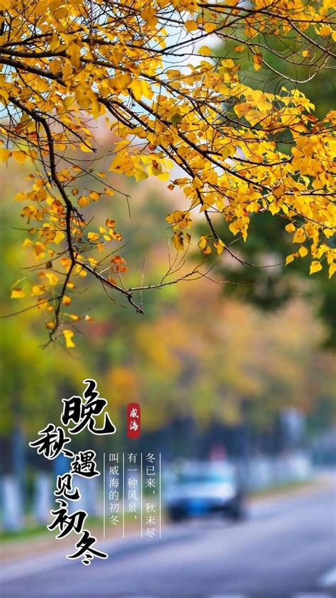 有一種相逢叫晚秋遇見初冬 壹讀