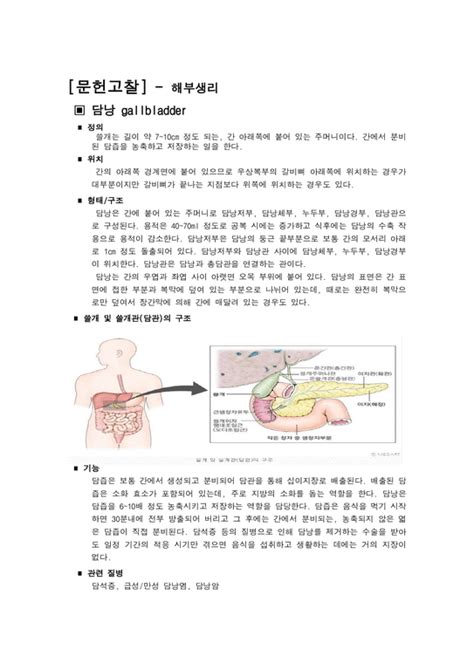 급성 담낭염 문헌고찰 의약학