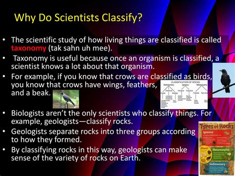 Classify Meaning