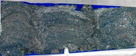 How To Describe And Interpret Carbonate Thin Sections Applied Stratigraphix