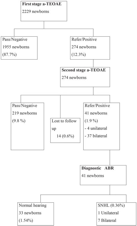 Disposition Of The Newborn Hearing Screening Program Abr Auditory
