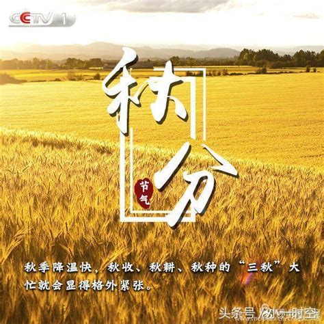 詩情畫意稻花香里說豐年 每日頭條