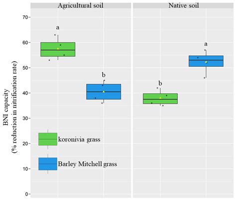 Biological Nitrification Inhibition By Australian Tussock Grass And Its Impact On The