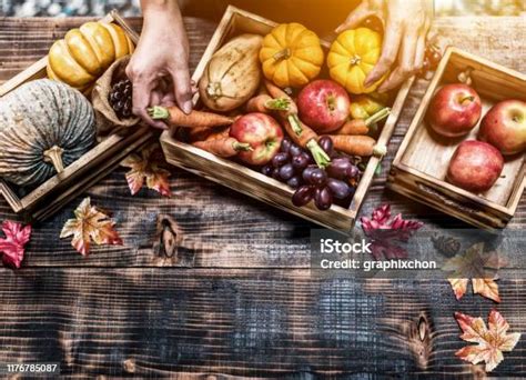 추수 감사절 배경 과일과 가을 수확 시즌에 나무에 야채 텍스트의 공간을 복사합니다 11월에 대한 스톡 사진 및 기타 이미지 11월 Blessing 가을 Istock