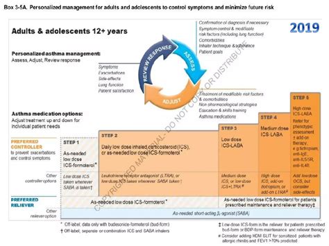 Gina 2019 Guidelines For Asthma Pptx