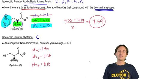 Isoelectric Points Of Amino Acids And How To Calculate 48 Off