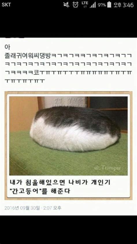 잡담 대익 시간표 어때여 인스티즈instiz 일상 카테고리