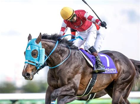 【東京ハイジャンプ出走馬・騎手確定】オジュウチョウサンand石神深一騎手、ホッコーメヴィウスand黒岩悠騎手など12頭 競馬ニュース Netkeiba