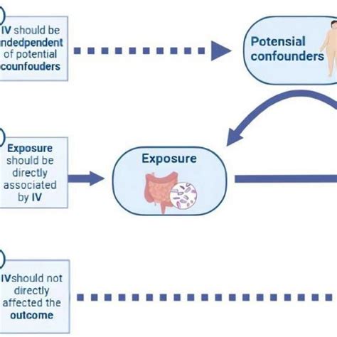 The Basic Principles And Core Assumptions Of Mendelian Randomization