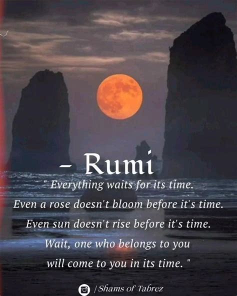 230 Beautiful Rumi Quotes On Love Life Friendship Sufi Poetry Artofit