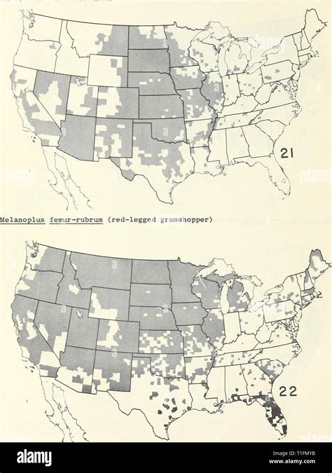 Distribution Maps Of Some Insect Distribution Maps Of Some Insect Pests