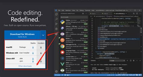 vscode ide 中文扩展插件安装和配置 idea下载了中文插件怎么配置到vscide中 csdn博客
