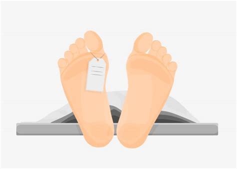 30 Morgue Cartoon Stock Illustrations Royalty Free Vector Graphics