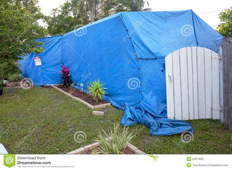 What Are The Problems Termite Tenting Can Cause Termites Advice