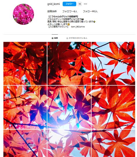 Instagramで統一感を出す方法：7つのコツとおすすめアプリで魅力的なアカウントを作ろう マケスク