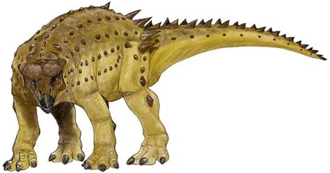 Minmi Pictures And Facts The Dinosaur Database