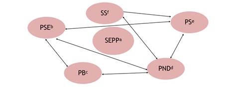theoretical framework showing interrelationship between outcome