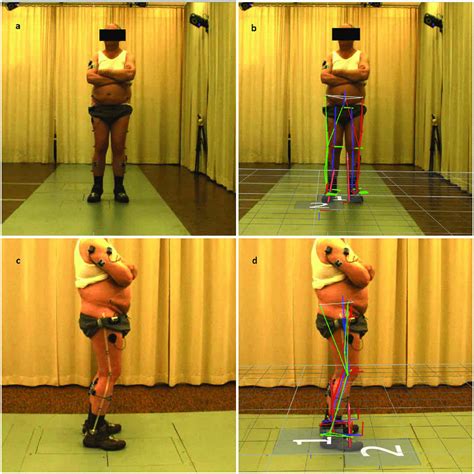 Experimental Setup Of The 3d Motion Analysis Placement Of The
