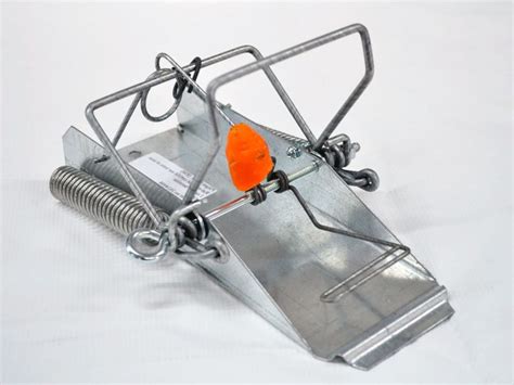 Best Muskrat Traps Of 2026 Complete Guide To Effective And Humane Control