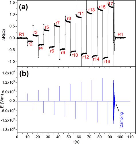 Electric Field Induced Switching Between Multiple Memory States A