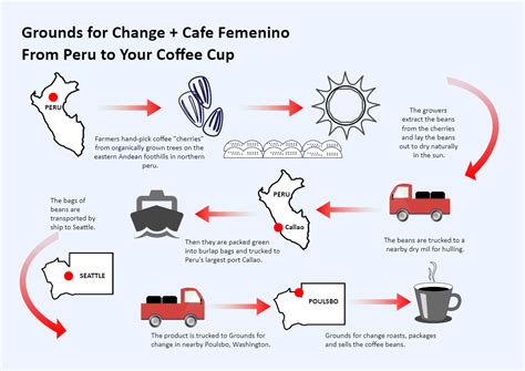Coffee Supply Chain Flow Chart