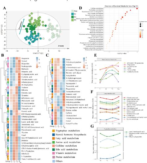 figure 3 from dynamics of the gut microbiota and faecal and serum