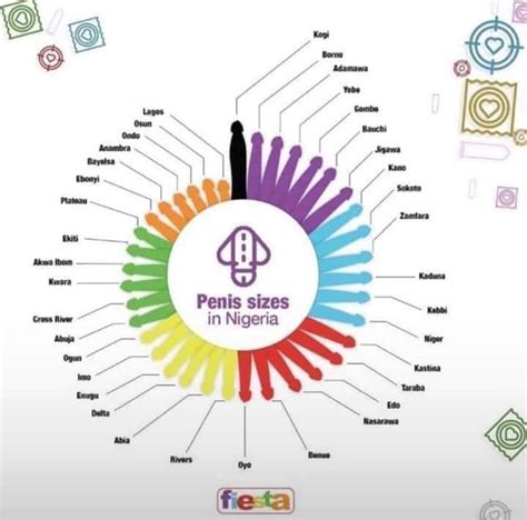 Sizes Of Male Sex Organs In Nigeria Graphic Representation