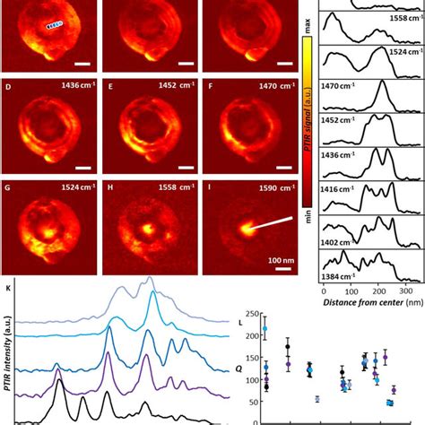 A Contact Mode And B Tapping Mode Ptir Absorption Maps For An Hbn