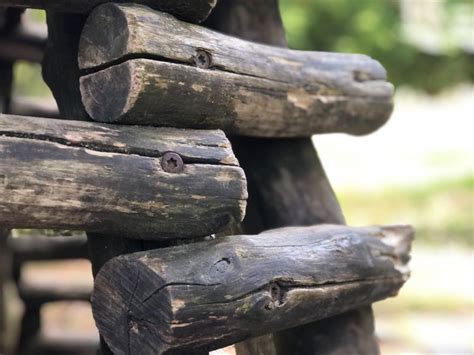 Leo Stehlik On Linkedin Go Out And Play