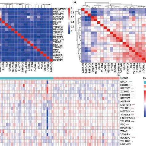 Higher Mettl3 Mrna Expression Level In Cancer Tissues Mettl3 Mrna