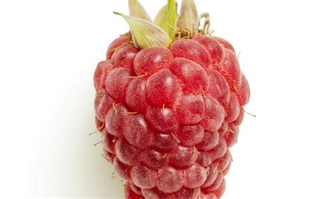 Top Cross Chain Crypto Bridges Exploring The Best Options For Seamless Blockchain Transfers In 2025