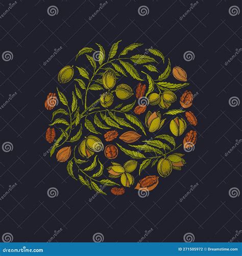 Pecan Nuts Vector Graphic Circle Vintage Symbol 271505972