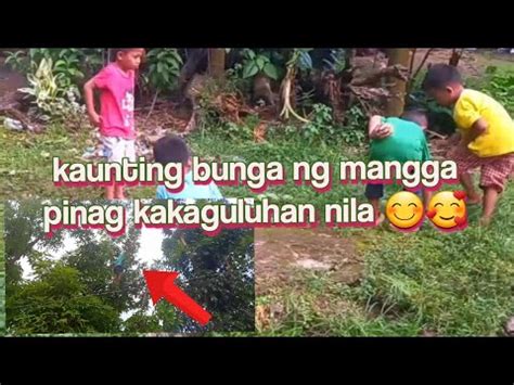 Tuwang Tuwa Sila Sa Mangga Youtube