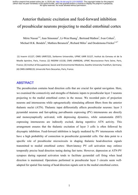 Pdf Anterior Thalamic Excitation And Feedforward Inhibition Of Presubicular Neurons Projecting