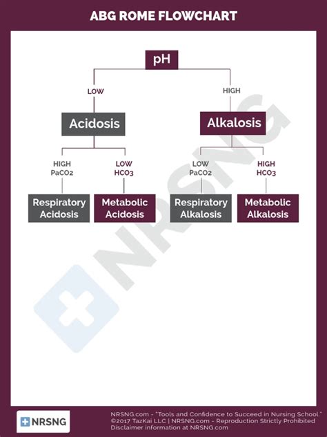 Labs 1 08 Abg Rome Flowchart Pdf