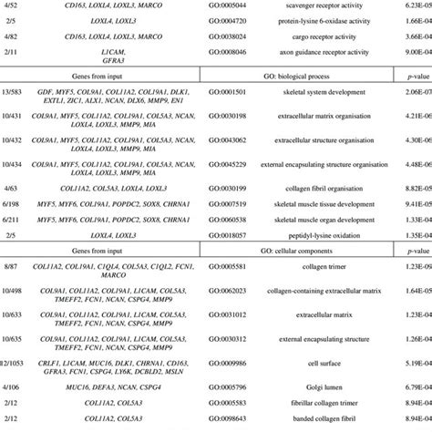 Functional Enrichment Upregulated Genes Download Scientific Diagram