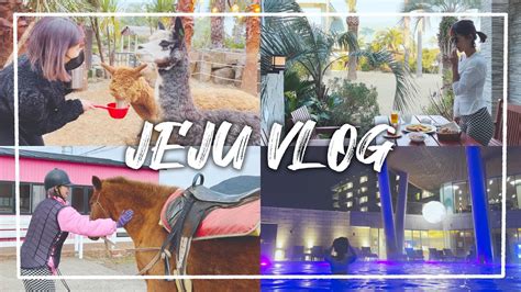 🌴제주도 2박3일 여행 브이로그🍊 Jeju Vlog 겨울 제주도 여행브이로그 Youtube