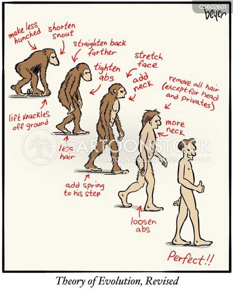 Evolution Cartoons And Comics Funny Pictures From Cartoonstock