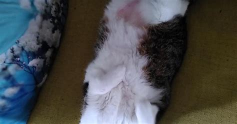 Hugo Inside Album On Imgur