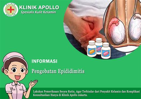 Pengobatan Epididimitis Yang Sesuai Penyebabnya Klinik Apollo Jakarta