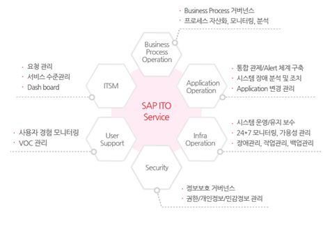 it서비스 전문기업 kt ds