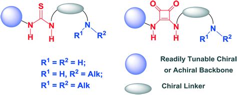 Asymmetric Cycloaddition Reactions Catalyzed By Bifunctional Thiourea And Squaramide